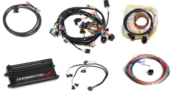 Dominator LS1/LS6 ECU and Harness – Tuner Tools